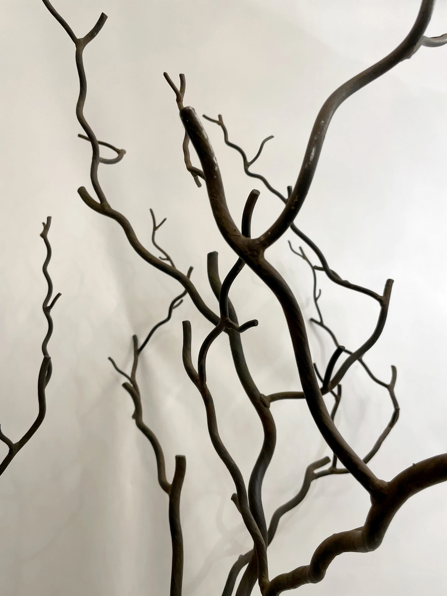 Arbre en fer forgé - Galerie Canavèse